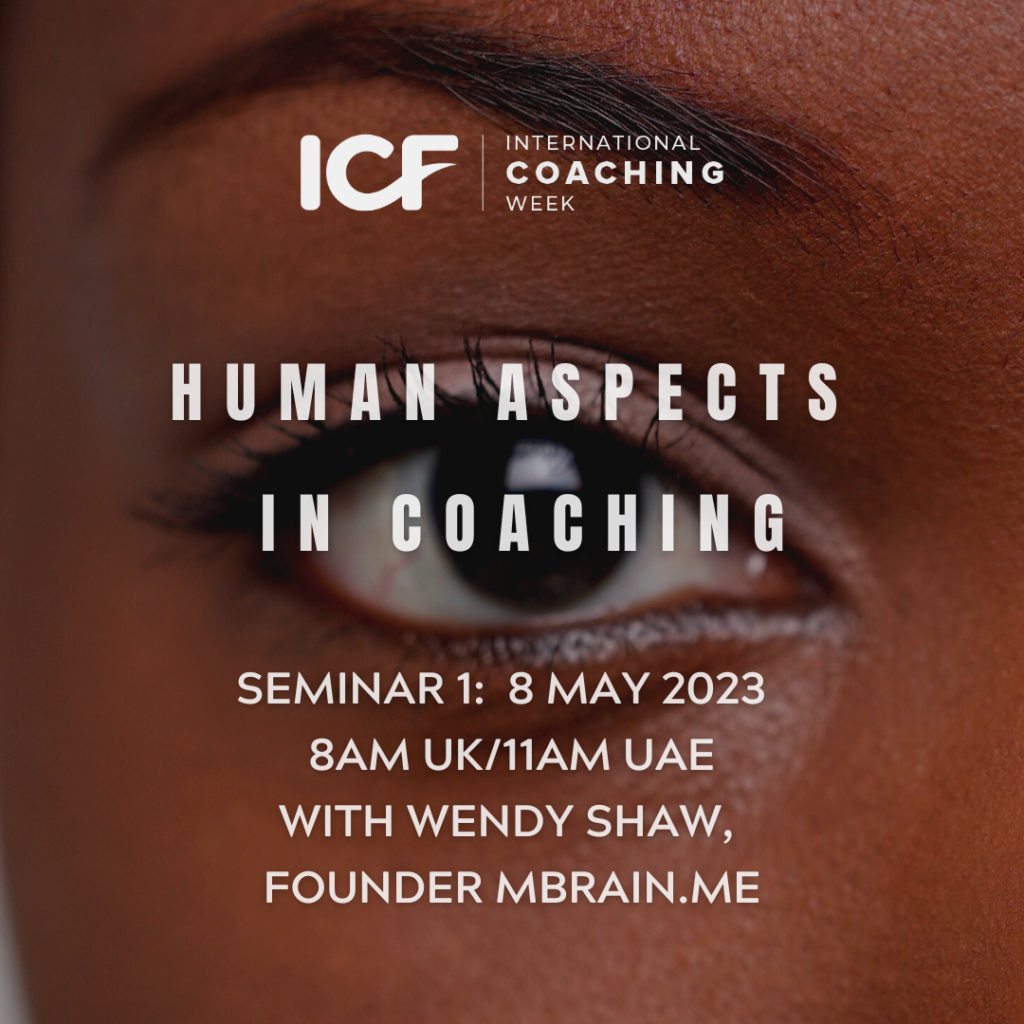 HUMAN ASPECTS IN COACHING, SEMINAR 1: GOAL-SETTING USING NEURAL ...